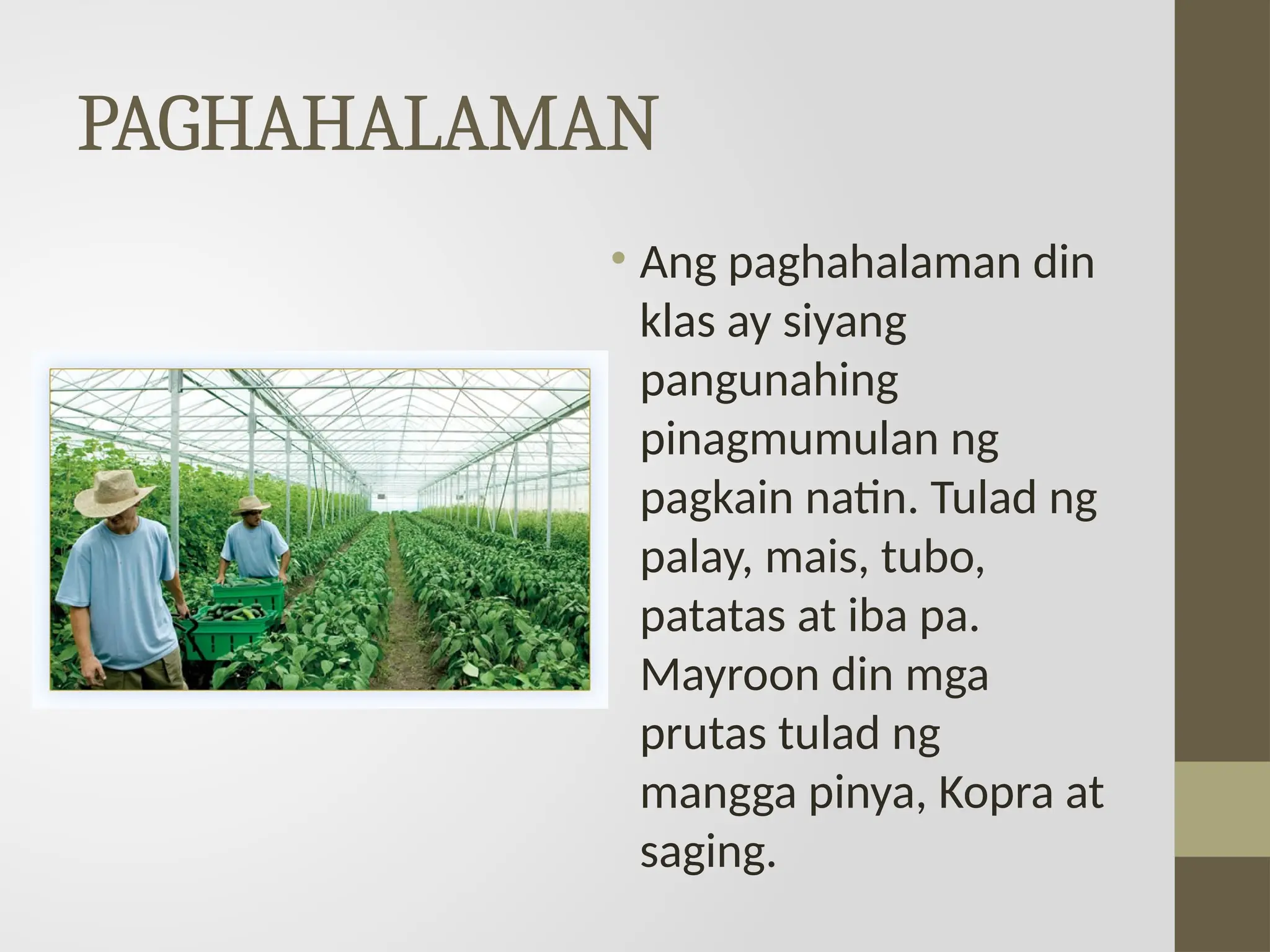 Ang Mga Sektor ng Agrikultura, paghahalaman, paghahayupan, pangugubat ...