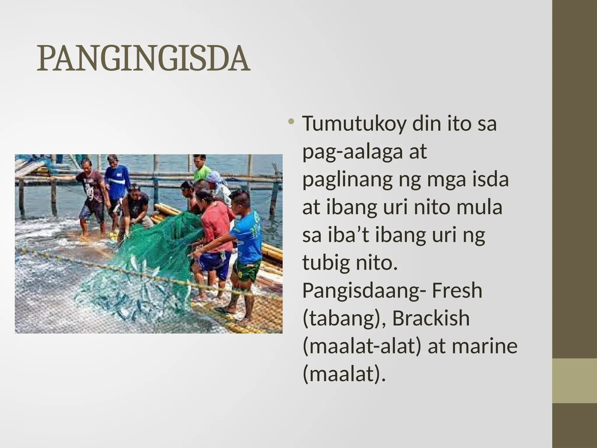 Ang Mga Sektor ng Agrikultura, paghahalaman, paghahayupan, pangugubat ...