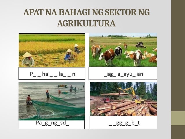 Ang Mga Sektor ng Agrikultura, paghahalaman, paghahayupan, pangugubat ...
