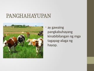 Ang Mga Sektor ng Agrikultura, paghahalaman, paghahayupan, pangugubat ...