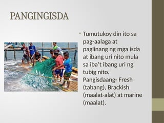 Ang Mga Sektor ng Agrikultura, paghahalaman, paghahayupan, pangugubat ...