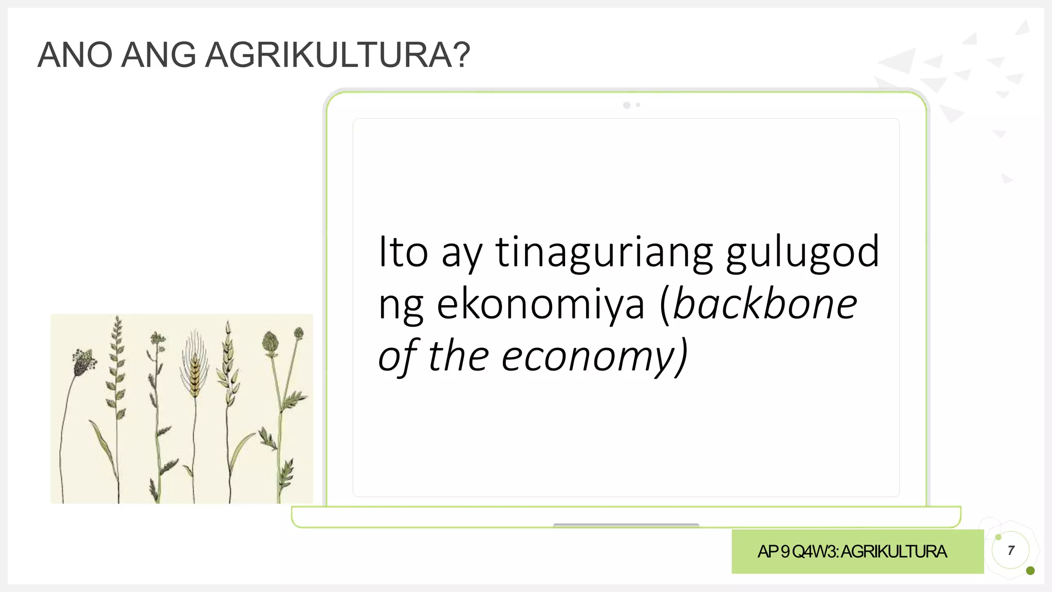 EKONOMIKS 9 QUARTER 4 WEEK 3: SEKTOR NG AGRIKULTURA | PPTX