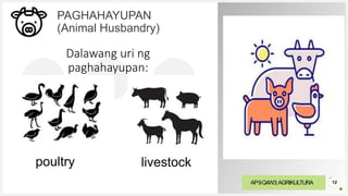 EKONOMIKS 9 QUARTER 4 WEEK 3: SEKTOR NG AGRIKULTURA | PPTX