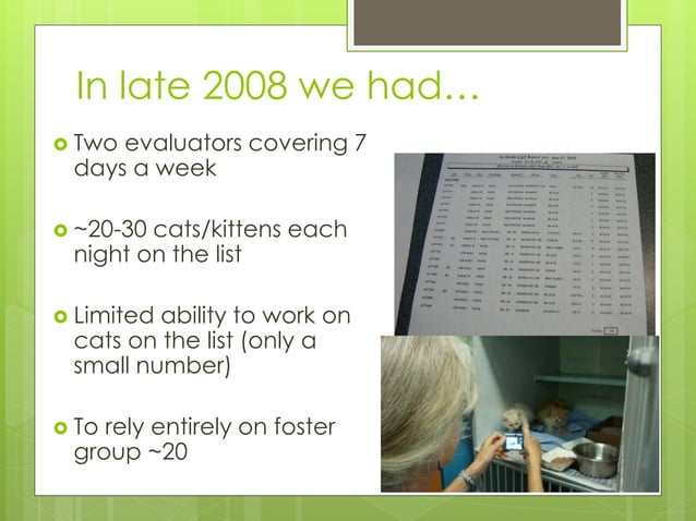 Rescuing Cats from the Euthanasia List | PPT