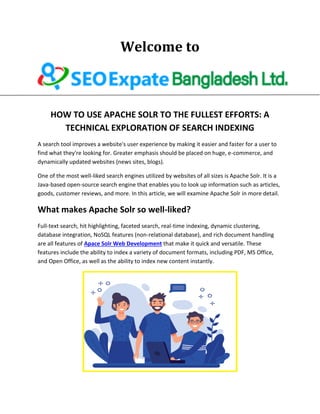 Apace Solr Web Development.pdf | Search | Internet