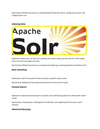 Apace Solr Web Development.pdf