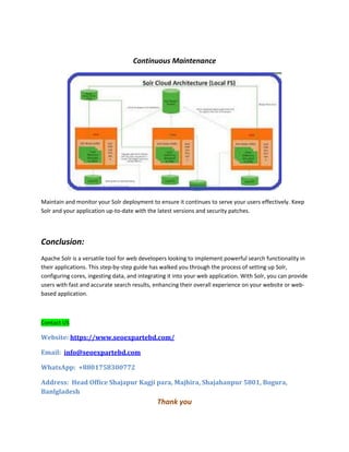 Apace Solr Web Development.pdf