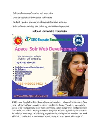 Apace Solr Web Development | PDF