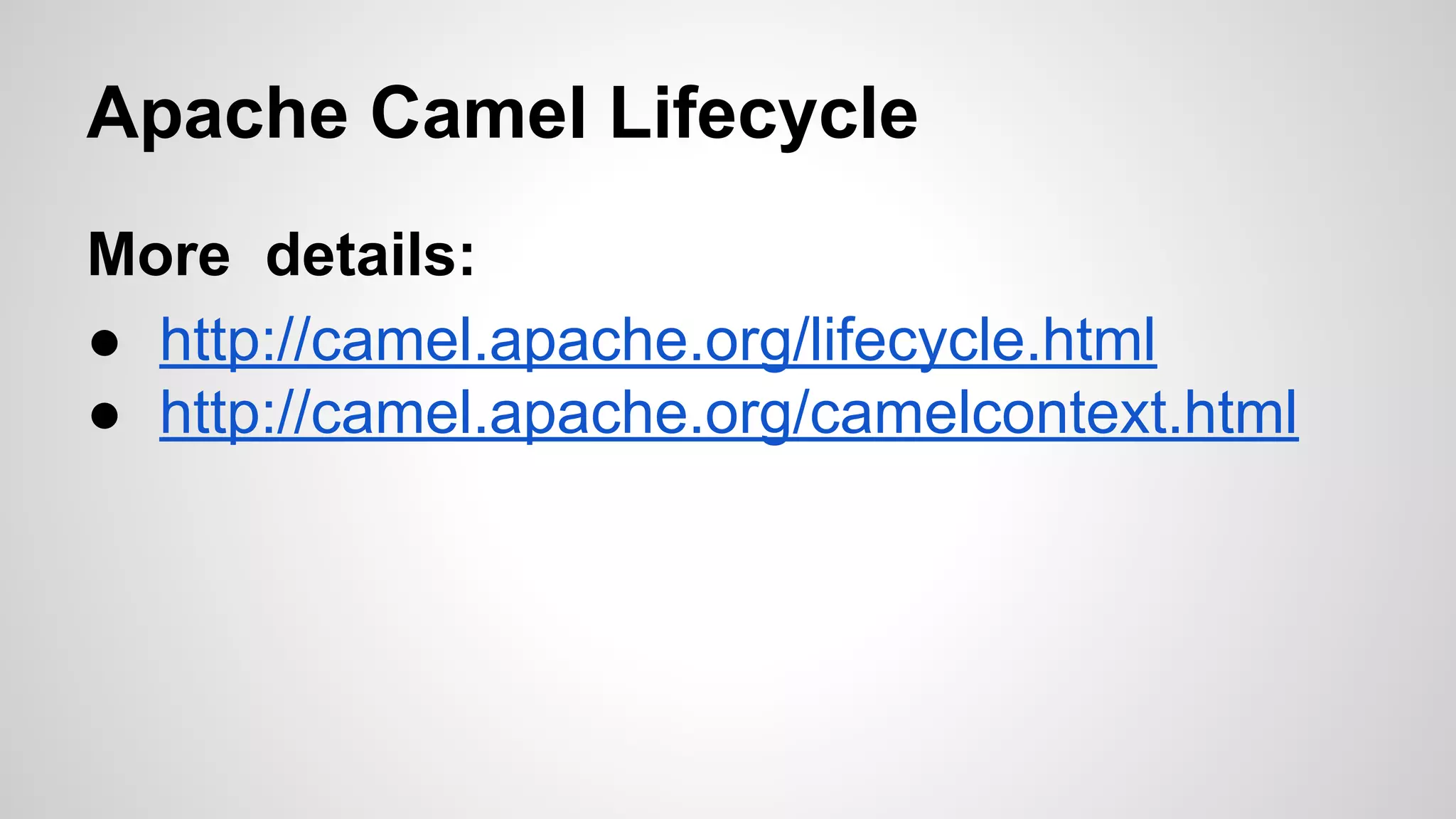 Apache Camel Lifecycle | PDF | Technology & Computing