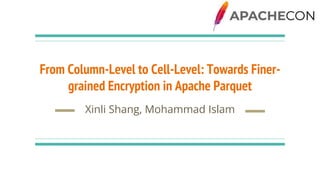 ApacheCon 2022: From Column-Level to Cell-Level_ Towards Finer-grained ...
