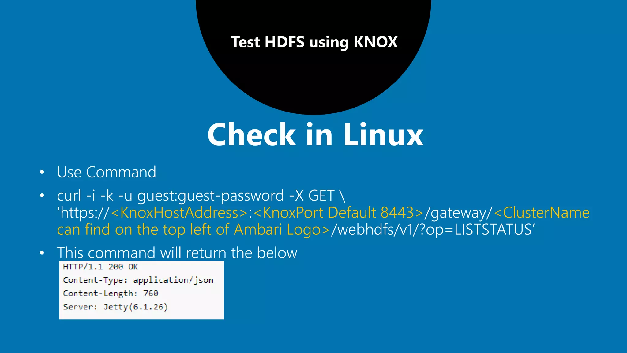 Apache Knox setup and hive and hdfs Access using KNOX | PPTX