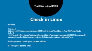 Apache Knox setup and hive and hdfs Access using KNOX | PPTX