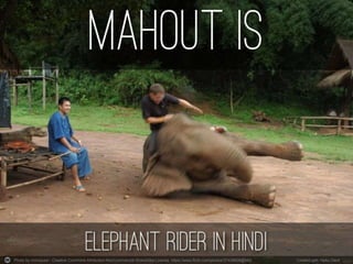 Apache Mahout | PPTX