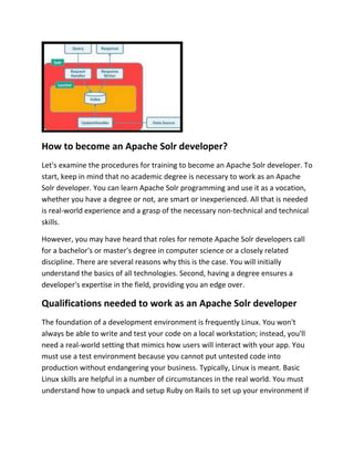 apache solr web development.pdf
