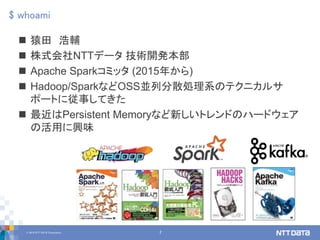 Apache Spark 2.4 and 3.0 What's Next? | PPT