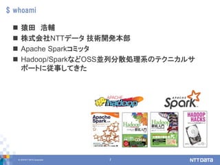 Apache spark 2.3 and beyond | PDF