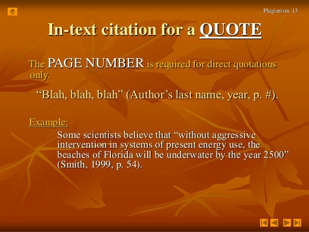 Plagiarism and Correct Documentation (Citing)