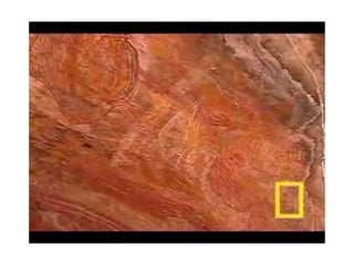 AP Art History Unit 9: The Pacific | PPTX
