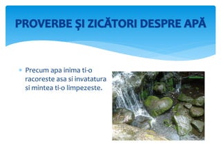 Apa inseamna viata | PPTX