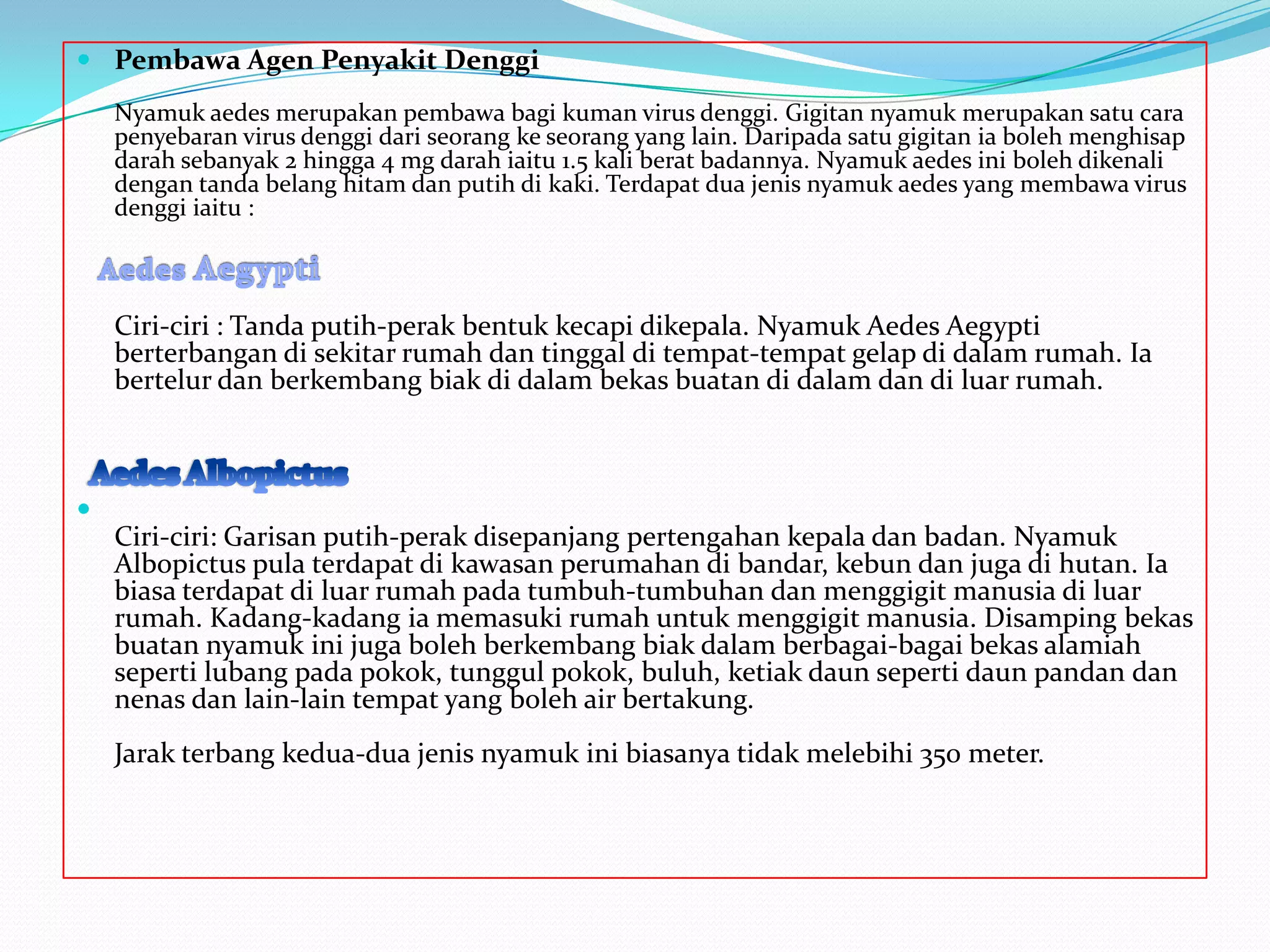 Apa itu denggi | PPTX