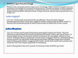 Apa itu denggi | PPTX