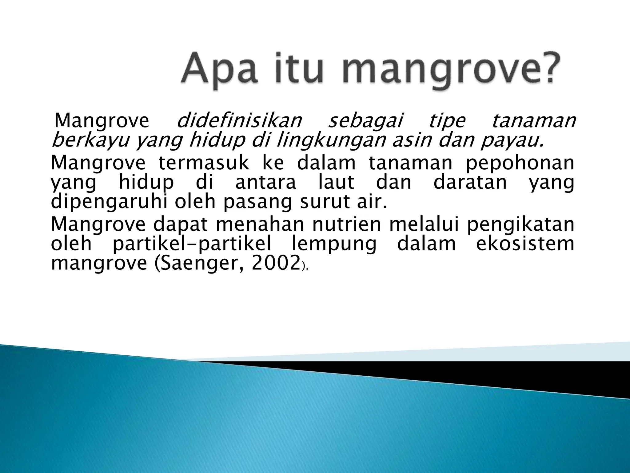 Apa itu mangrove untuk memecah ombak laut.pptx