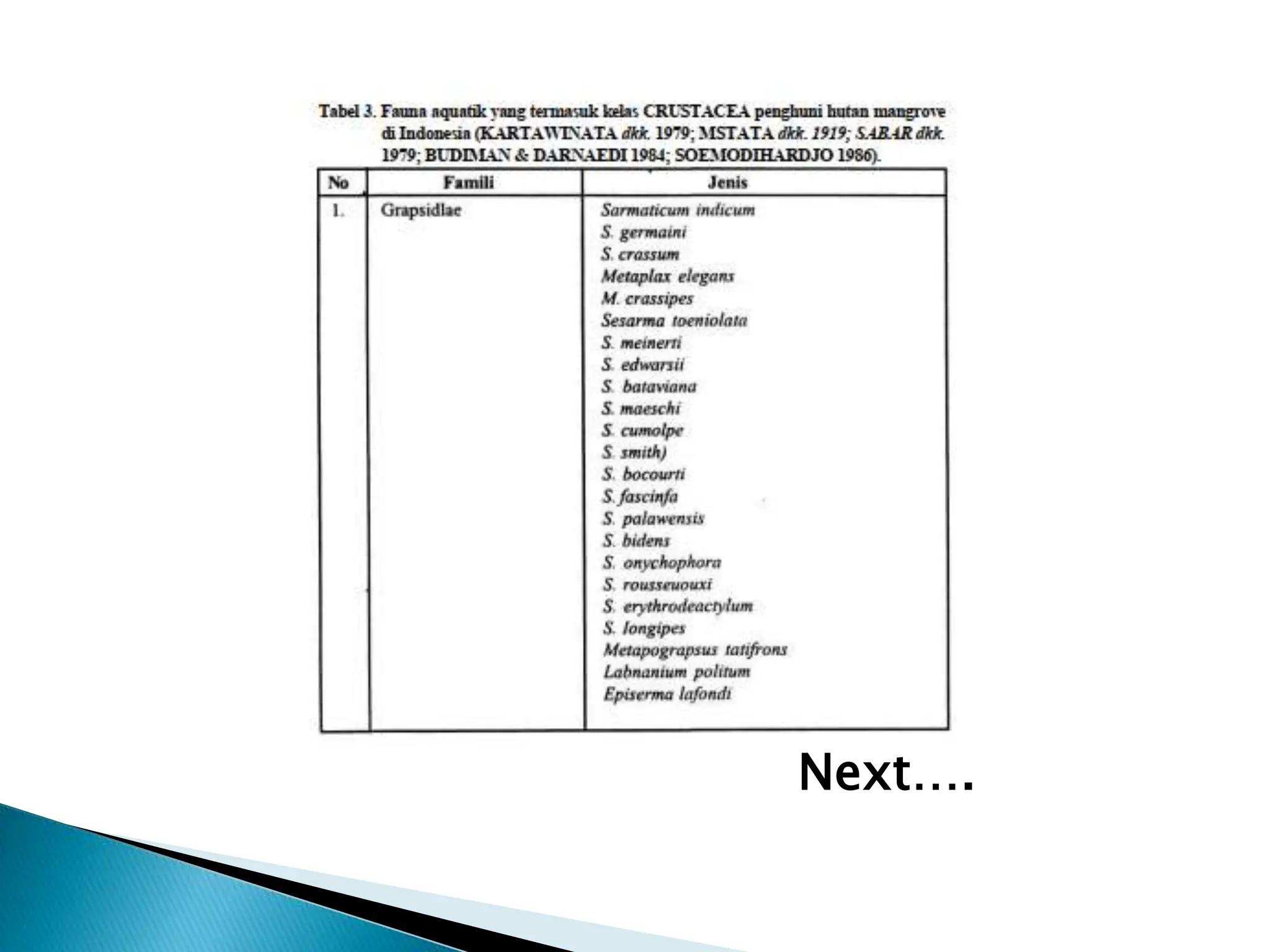 Apa itu mangrove untuk memecah ombak laut.pptx