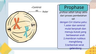 APA ITU MITOSIS.pembelahan sel materi kelas 9 | PPTX
