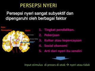 Apa itu nyeri, perinsip dasar nurs | PPTX