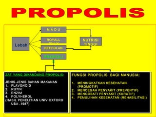 Apa itu propolis | PPT