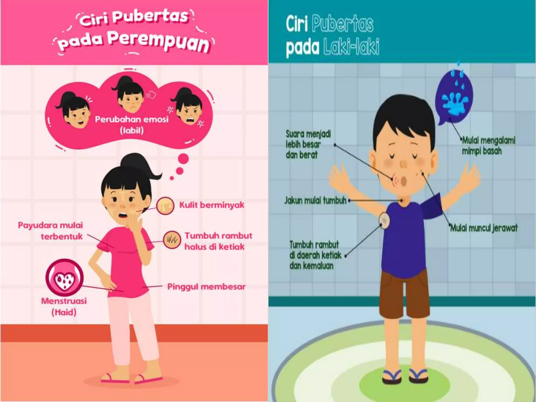 Apa itu PUBERTAS.pptx
