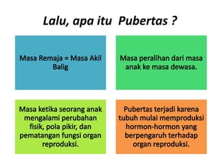 Apa itu PUBERTAS.pptx