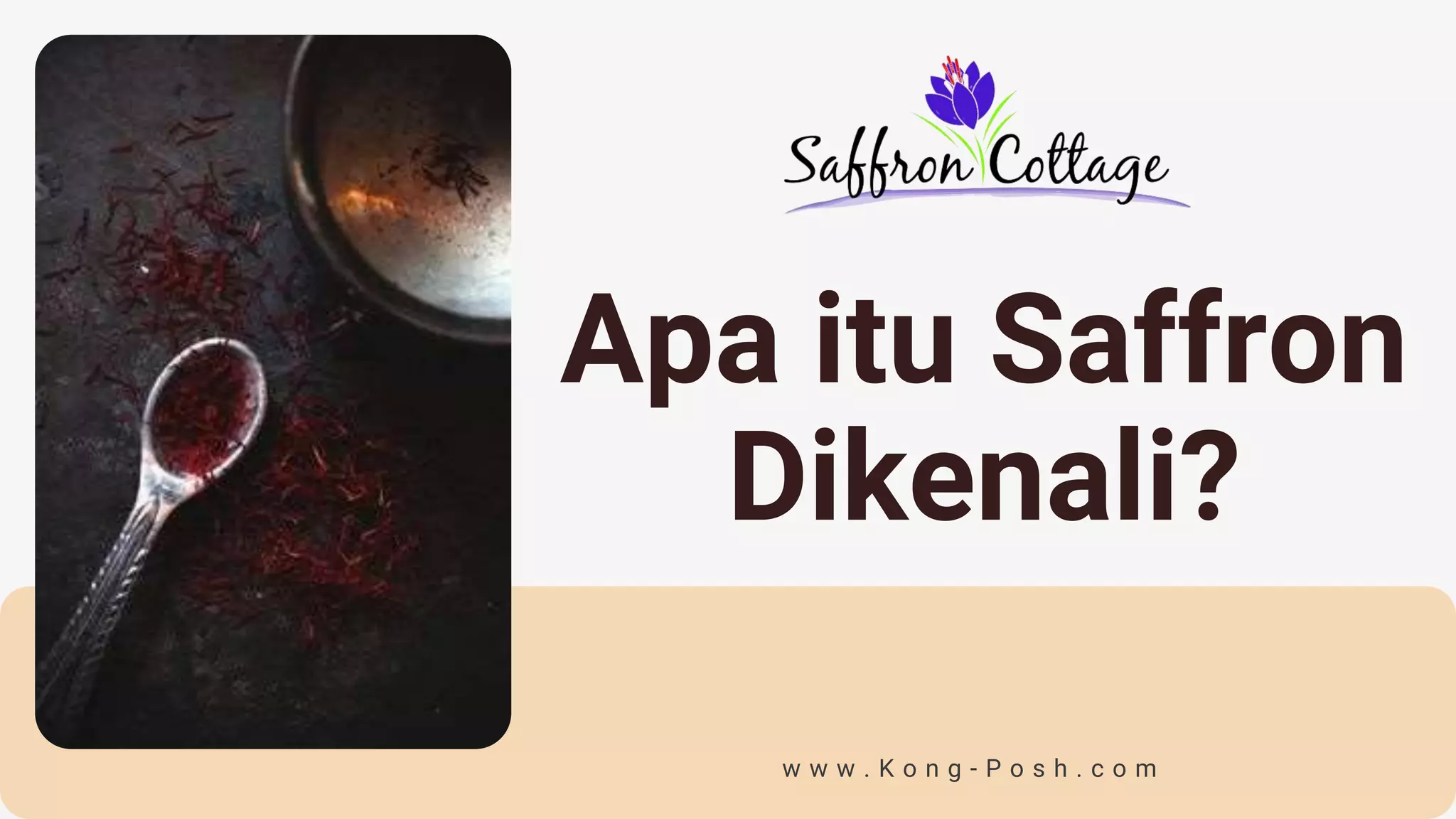 Apa itu Saffron Dikenali.pptx