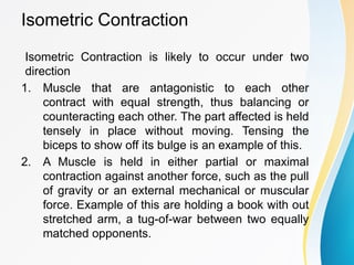 APALIT-VINCENT-V.-MUSCLE-CONTRACTION.pptx