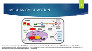 Apalutamide | PPTX
