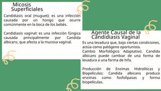 APA MICROBIOLOGÍA MICOSIS SUBCUTÁNEA, CANDIDIASIS EN MUCOSA | PPTX