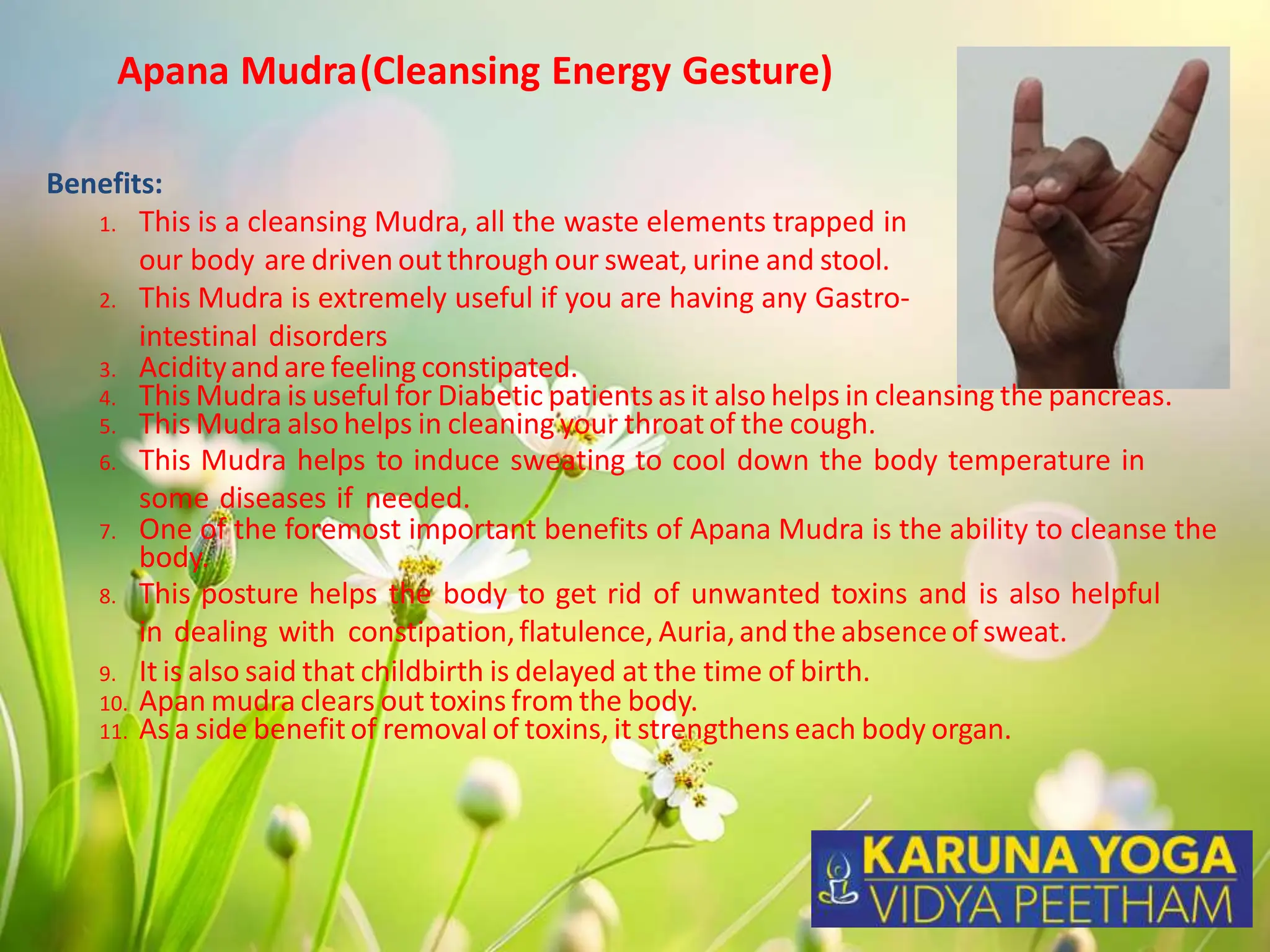Apana Mudra(Cleansing Energy Gesture)pp.pptx
