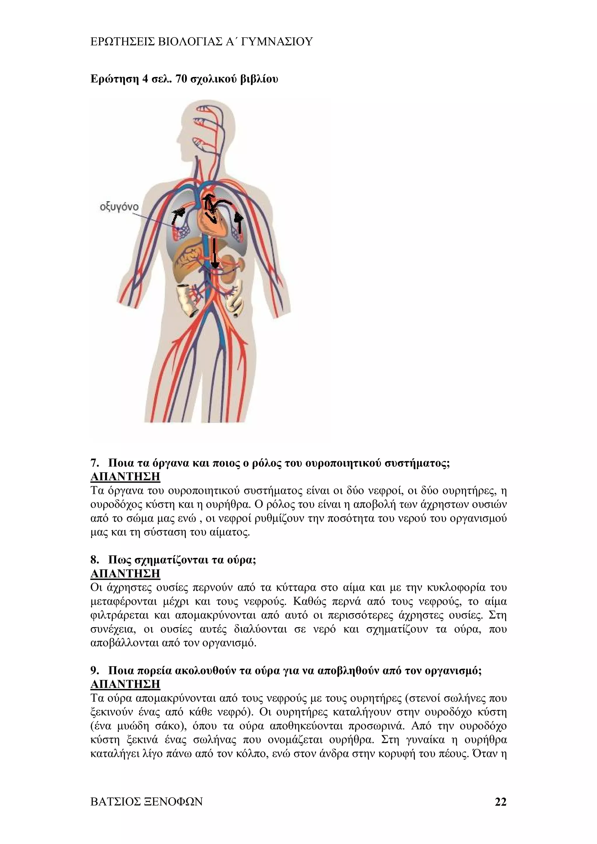 Βιολογία Α Γυμνασίου Ερωτήσεις-Απαντήσεις-Ασκήσεις με Λύσεις του ...
