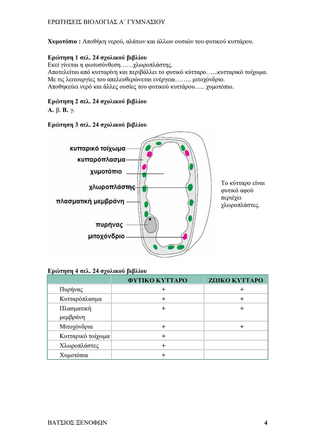 Βιολογία Α Γυμνασίου Ερωτήσεις-Απαντήσεις-Ασκήσεις με Λύσεις του ...