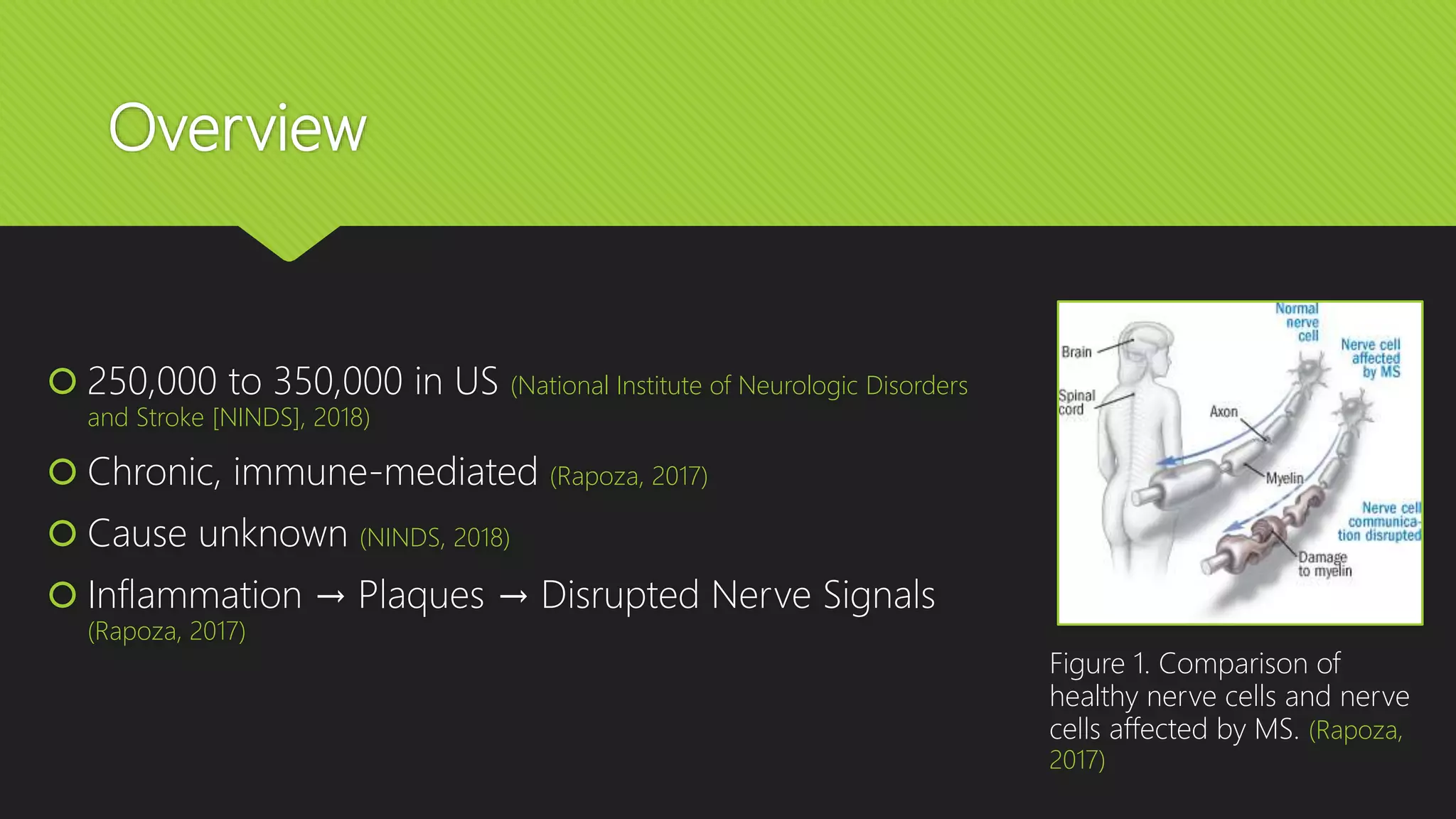Citing Sources in APA Style in a Presentation | PPTX