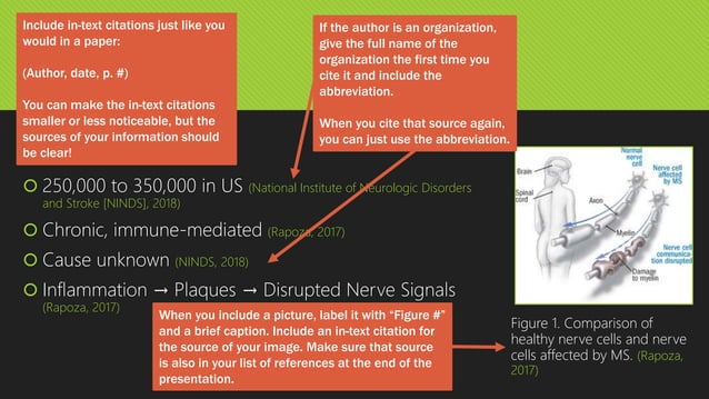 Citing Sources in APA Style in a Presentation | PPTX