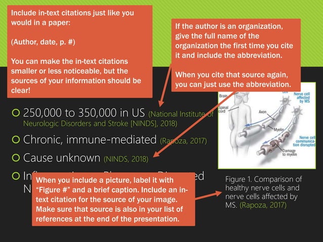 Citing Sources in APA Style in a Presentation | PPT