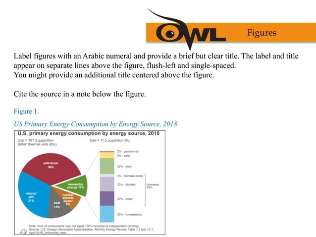 APA POWERPOINT REPORT WRITING GUIDELINES.pptx