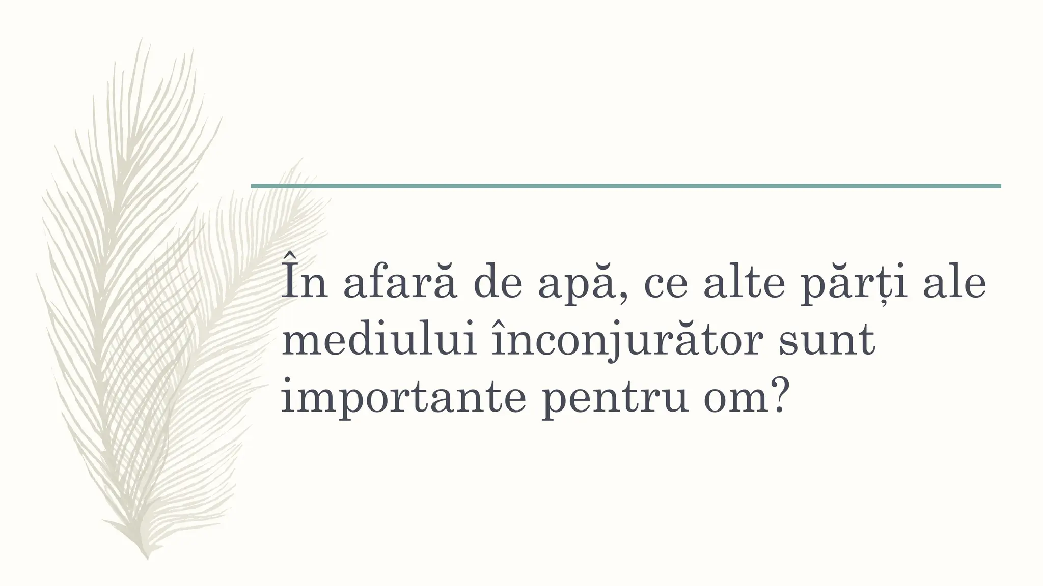 apa_proiect.pptx ...