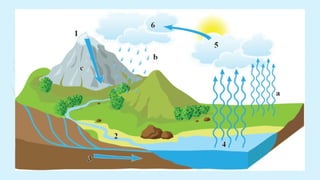 apa_proiect.pptx ...