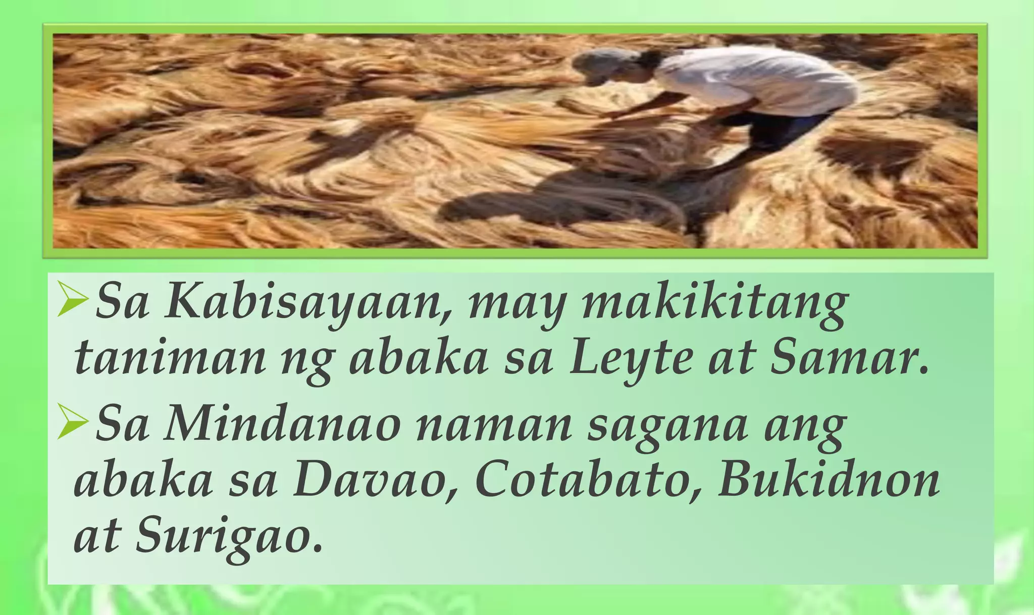 Ap aralin 8 ang kinalaman ng klima sa mga uri ng pananim at hayop sa ...