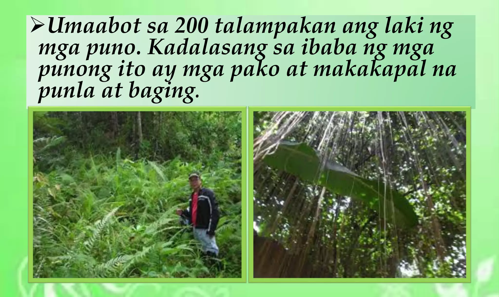 Ap aralin 8 ang kinalaman ng klima sa mga uri ng pananim at hayop sa ...