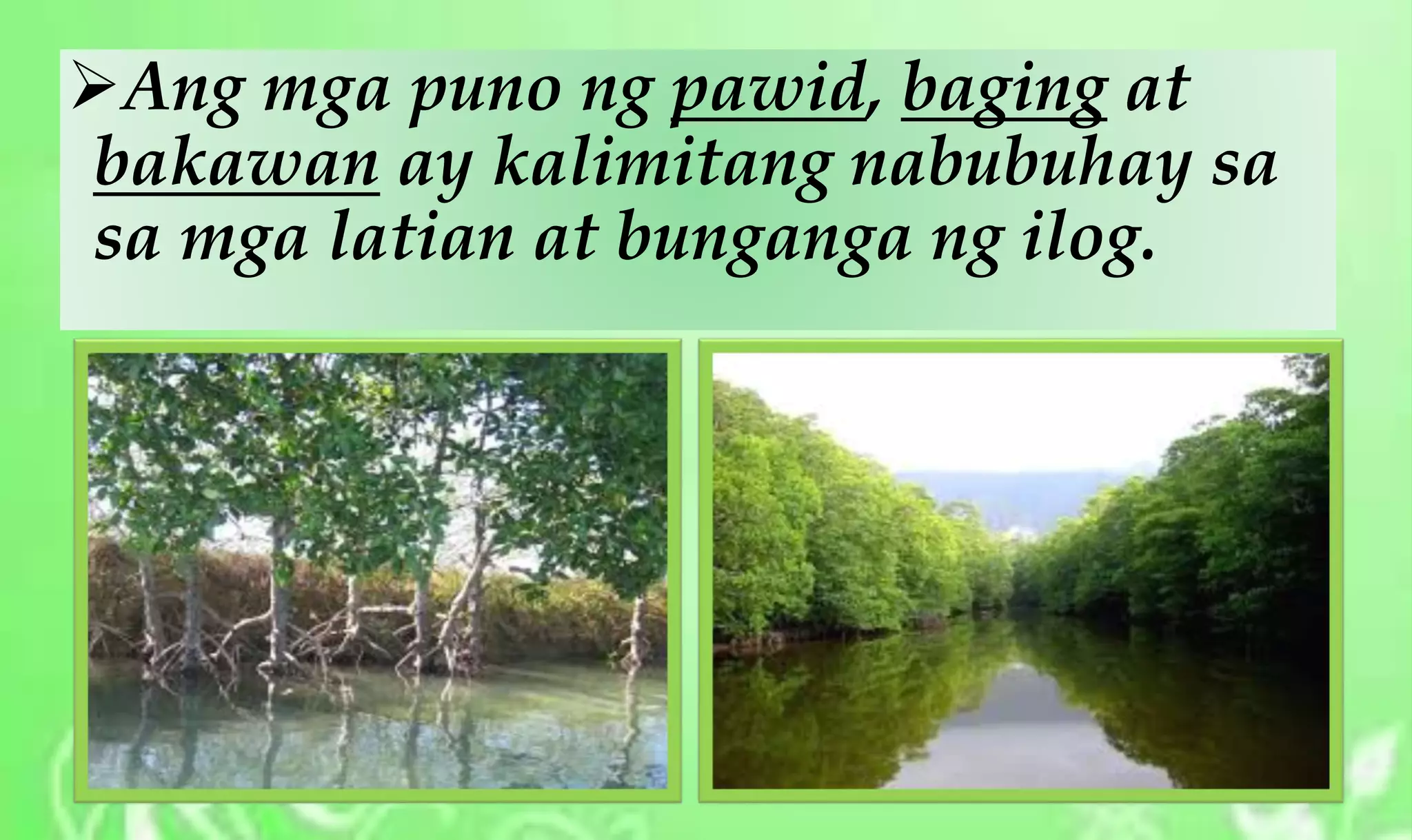 Ap aralin 8 ang kinalaman ng klima sa mga uri ng pananim at hayop sa ...