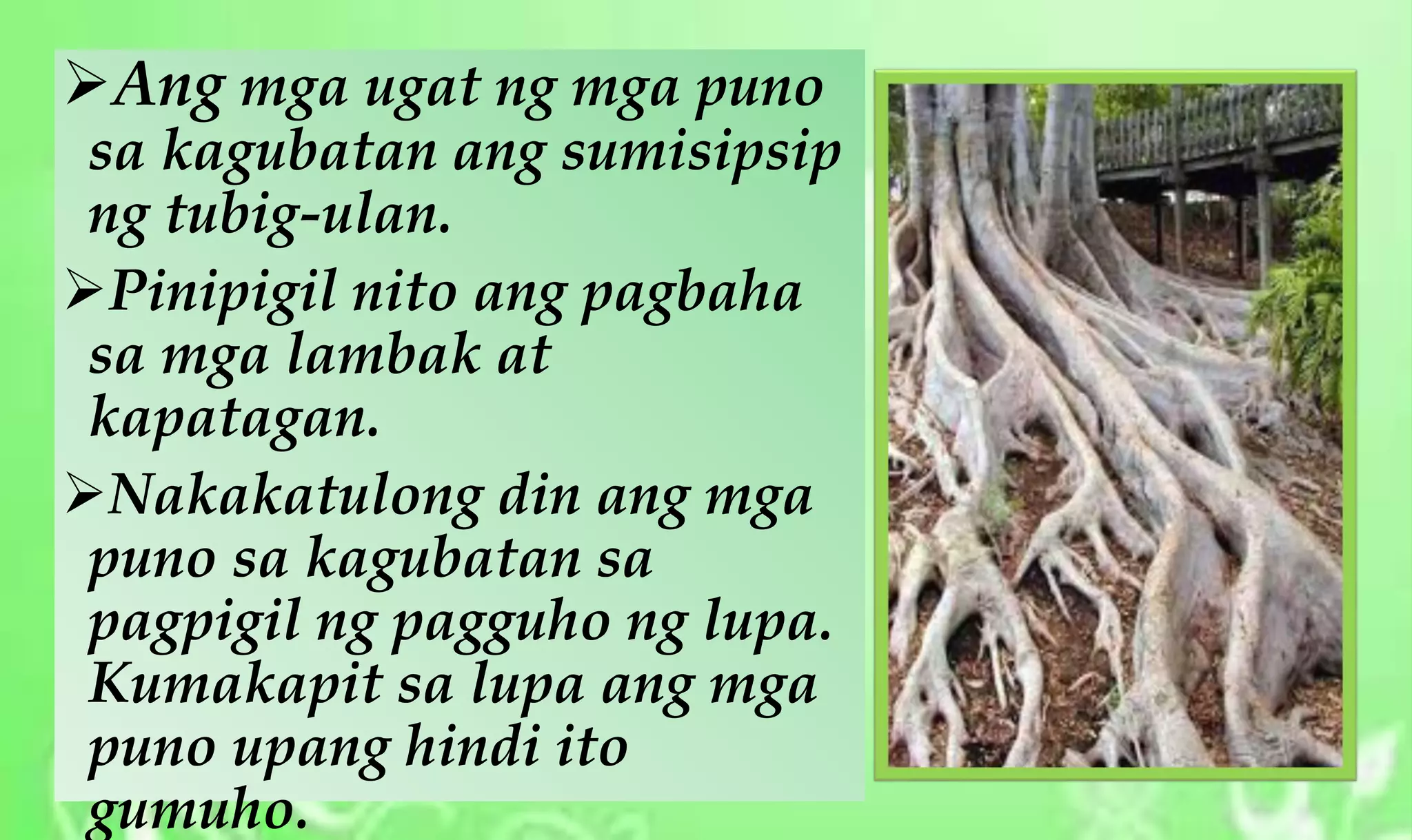Ap aralin 8 ang kinalaman ng klima sa mga uri ng pananim at hayop sa pilipinas | PPTX