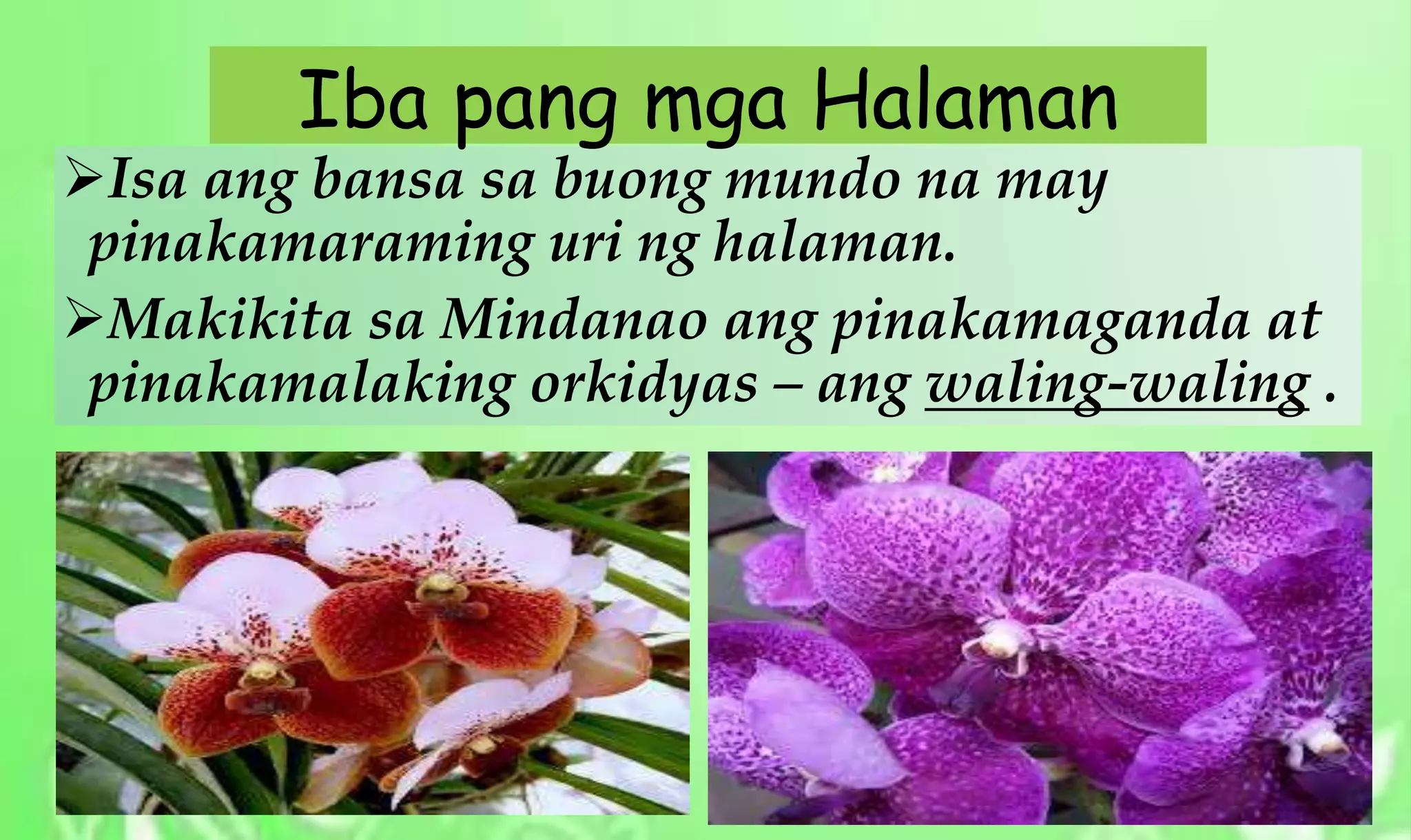 Ap aralin 8 ang kinalaman ng klima sa mga uri ng pananim at hayop sa ...